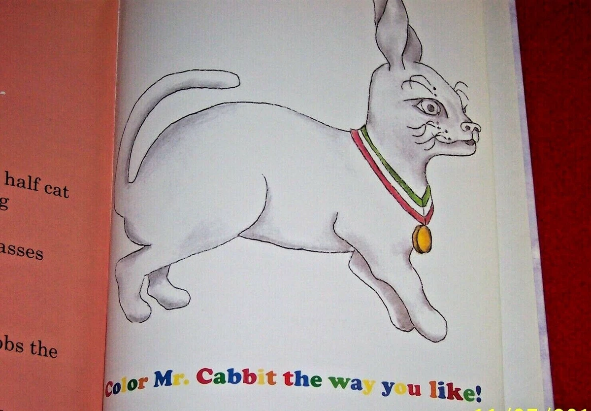 Half Cat Half Rabbit Drawing