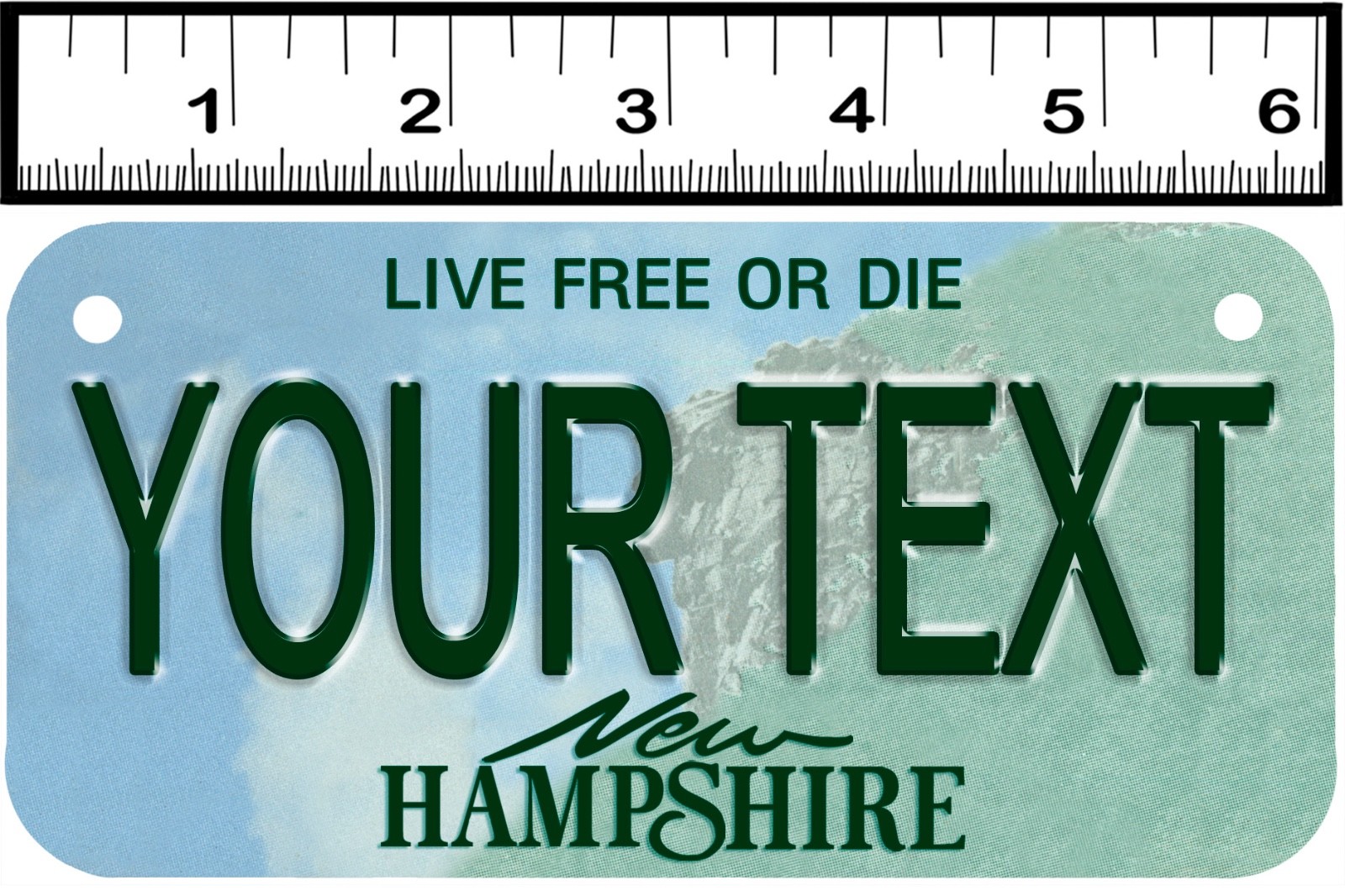 CUSTOM PERSONALIZED 2 HOLE BICYCLE STATE LICENSE PLATE-NEW HAMPSHIRE | eBay