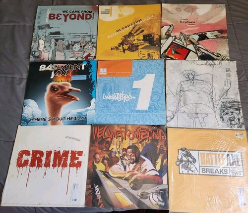 Lot of 9 Hip-Hop Rap Vinyl Album COVERS ONLY Lot 90's-00's | eBay