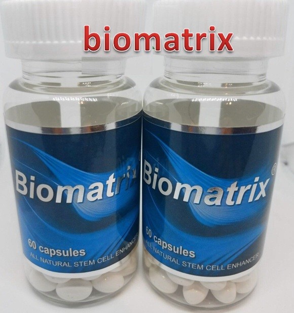 Soporte para células madre BIOMATRIX original, 3 CELULAS MADRE, Bioxcell.bacterium plus