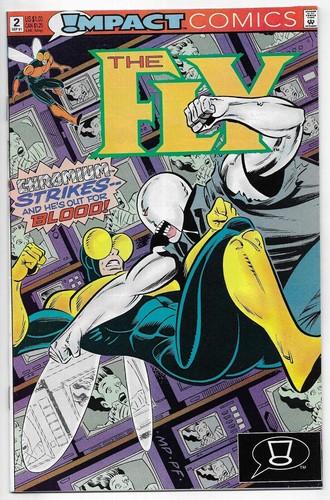 The FLY #2 DC / IMPACT COMICS COMIC BOOK Mighty Crusaders 1991 Mike ...