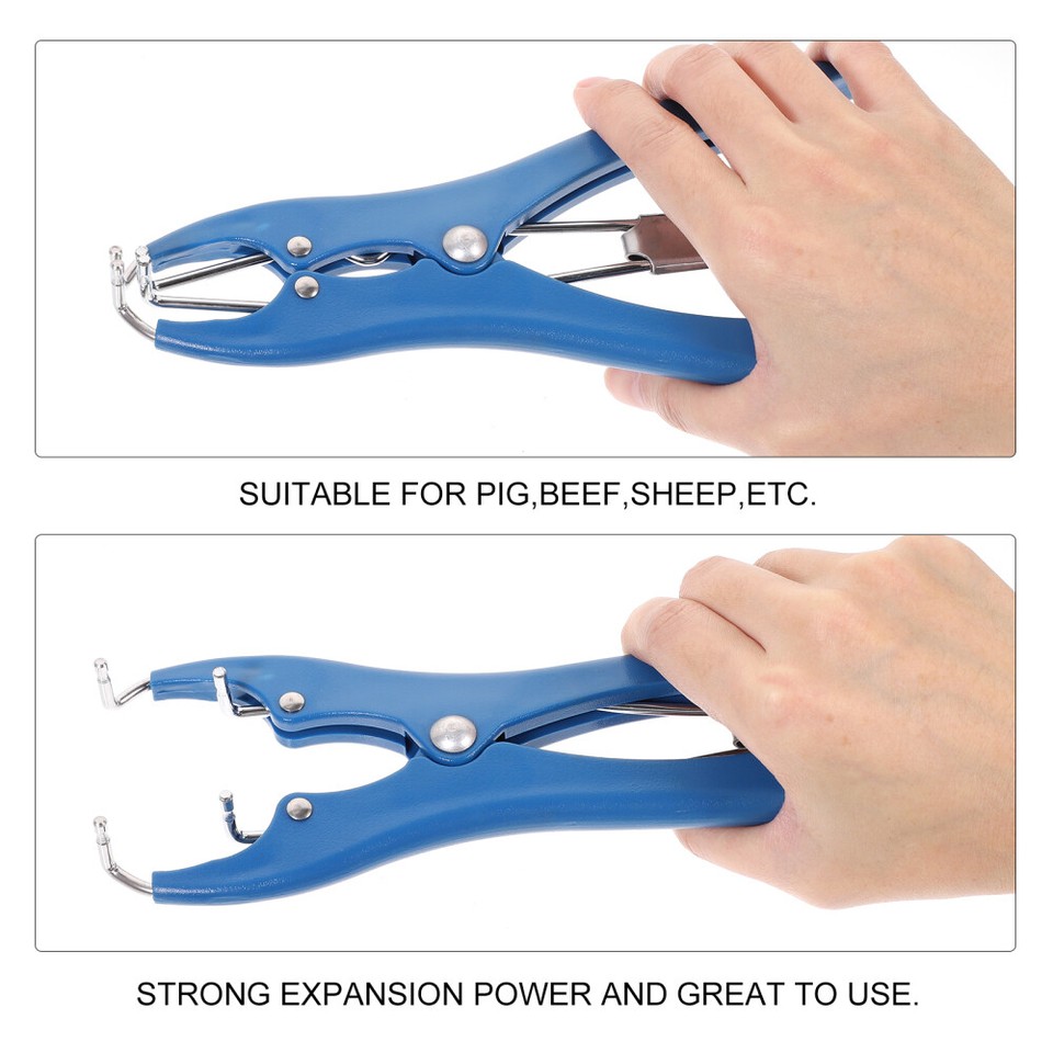 Banding for Cattle Bander Bands Bloodless Pliers | eBay