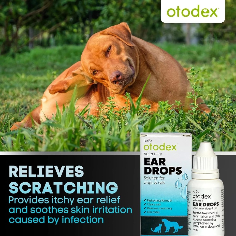 Ear Infection Drops For Dogs Cats Pets Treat Ear Wax Kills Mites Aids ...