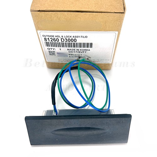 Outside Trunk Lid Lock Tailgate Handle For 2016-2018 Hyundai Tucson ...