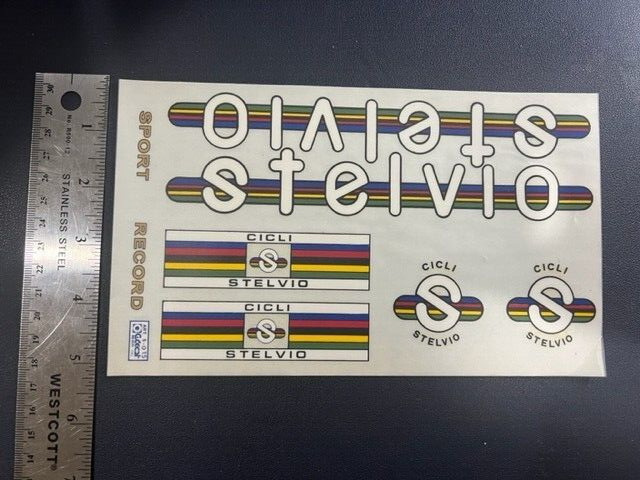 ! FACTORY STELVIO BIKE FRAME STICKER SET SHEET COMPLETE | eBay