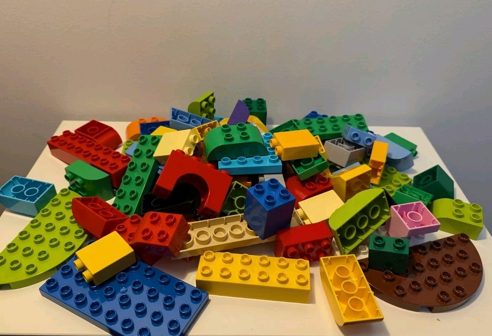 LEGO DUPLO 100 pcs Lot SPECIALTY PIECES Mixed Colors Random Selection ...