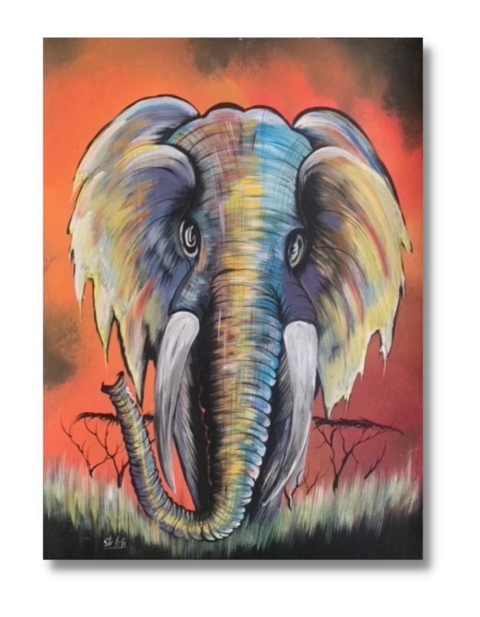 Abstract Elephant Drawings