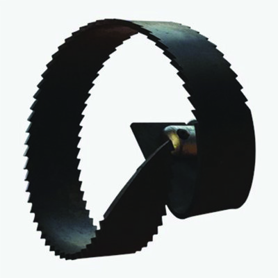 Tools - Electric Eel Model