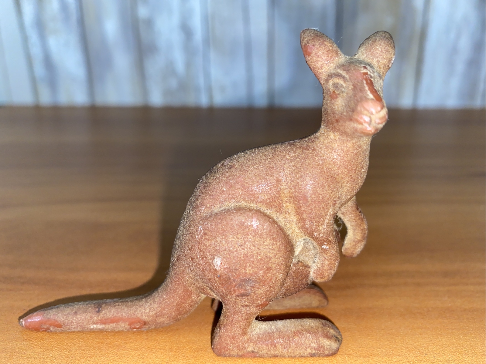 Miniature Kangaroo Pet
