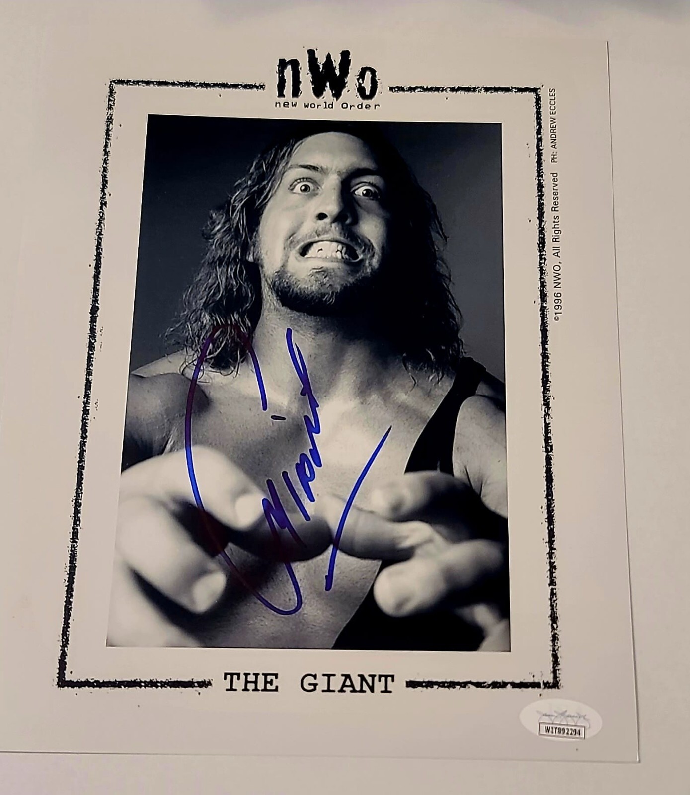 AEW Autograph - On Ebay - Multiple Results on One Page