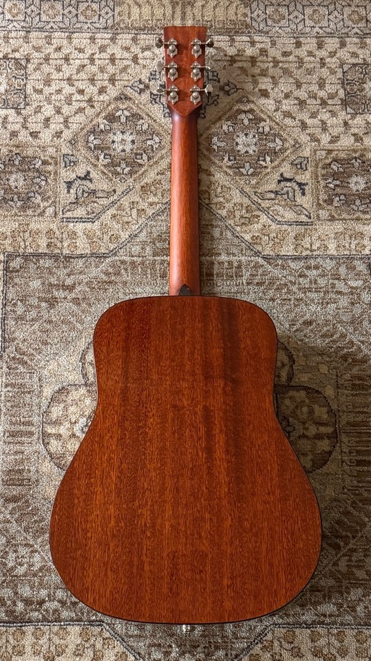 Eastman E1D-DLX Dreadnought Acoustic-Electric Guitar in Natural w/ Gig ...