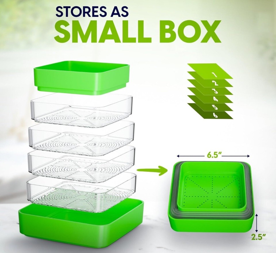 Seed Sprouter Kit,4-Tier Bean Sprouts Grow Kit,Micro Greens Growing ...