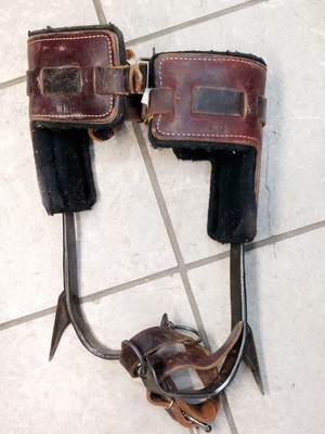 Climbing Spikes & Gaffs - Buckingham Mfg