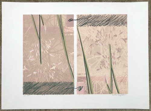 Susan Singleton Signed Limited Edition Print Signed | eBay