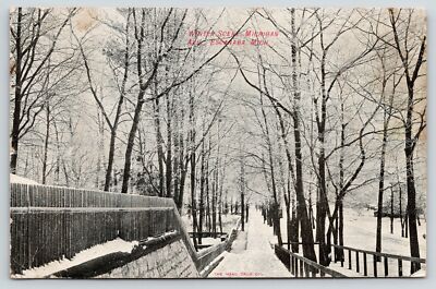 Escanaba~Michigan Avenue Winter Street & Sidewalk Scene~Snow Flocked ...