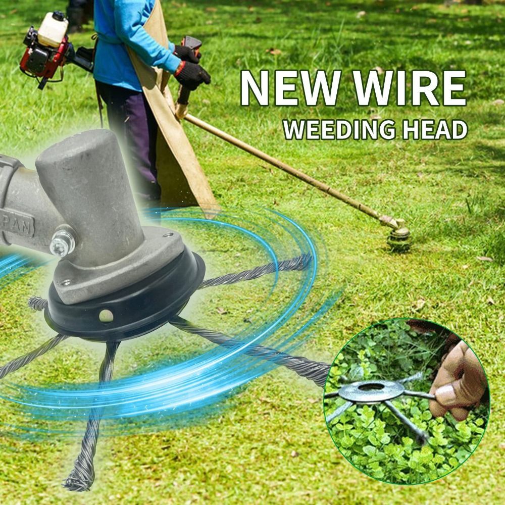 Images Of Wire Grass 33,664 Wire Grass Stock Photos Free