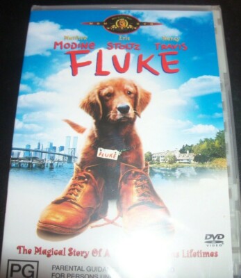 Fluke (Matthew Modine) (Australia Region 4) DVD – New 9338683000576 ...