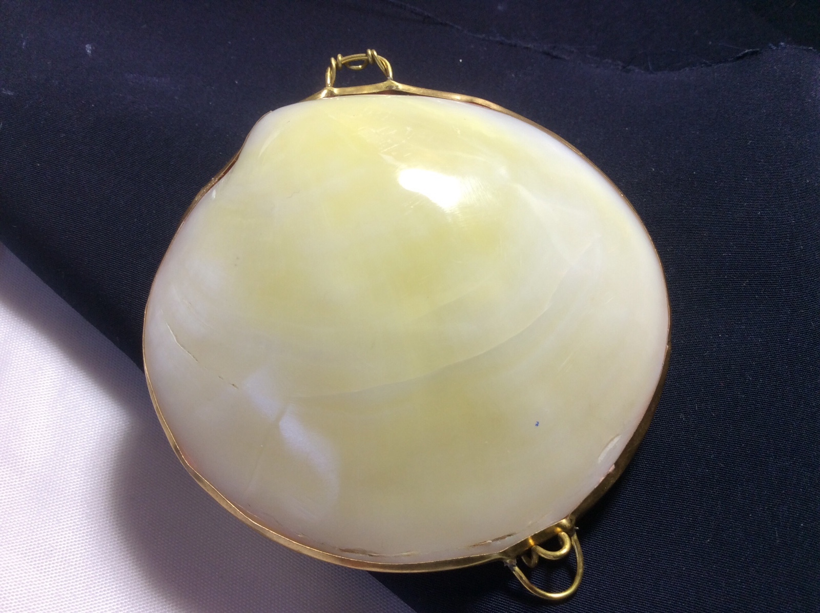White Clam Sea shell Brass Hinged Snuff Pill coin Jewelry Trinket Box ...