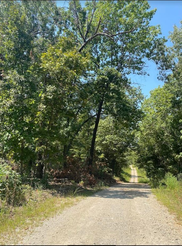 Selling land here since 2005! No Restrictions • Owner Finance RV ...