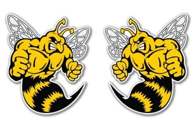 Wasps Set of 2 Vinyl Sticker - SELECT SIZE | eBay UK