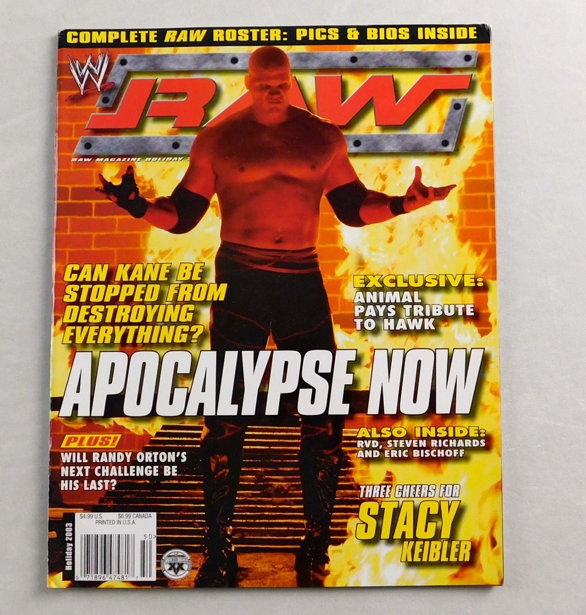 Wrestlemania 9 Poster