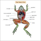 The Verve Pipe - Verve Pipe CD ** Free Shipping** 78636766423| eBay
