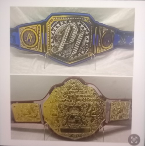 Custom Side Plates AJ Big Gold edge wrestling Championship Belt (2 ...