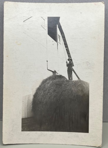 Rural Farmer on Huge Haystack at Barn Vintage Art Snapshot Photo 1920s ...