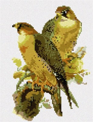 Peregrine Falcon Needlepoint Canvas (Bird/Animal) | eBay