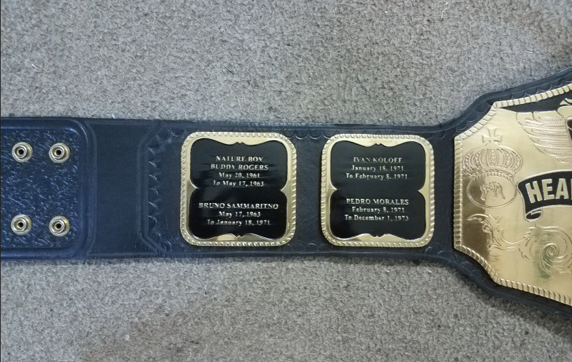hogan 85 Championship Belt 2mm Brass plates Adult Size | eBay
