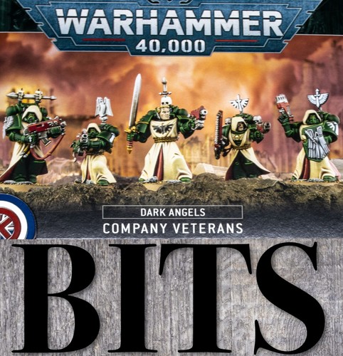 Warhammer 40K Heresy Dark Angels COMPANY VETERANS FALLEN RISEN Bit Bits ...
