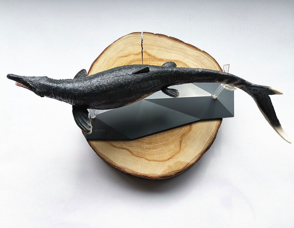 PNSO Mosasaurus Figure Mososaurs Mosasauridae Animal Dinosaur Toy ...