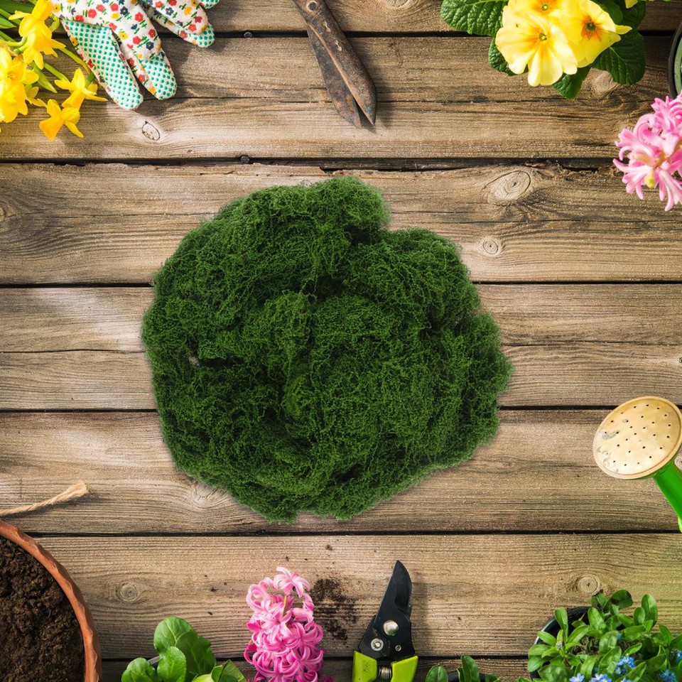 150g Micro Landscape Moss Ornaments For Diy Crafts Glass Terrariums ...