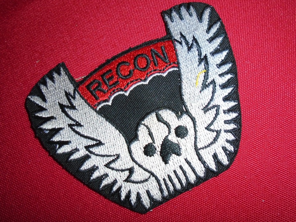 Vietnam War Patch US Special Forces RECON Winged Skull Reconnaissance ...