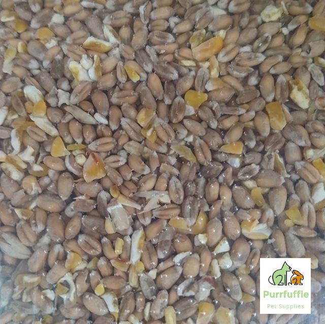 20KG MIXED POULTRY CORN WITH ANISEED OIL Chicken Pheasant Game Bird ...