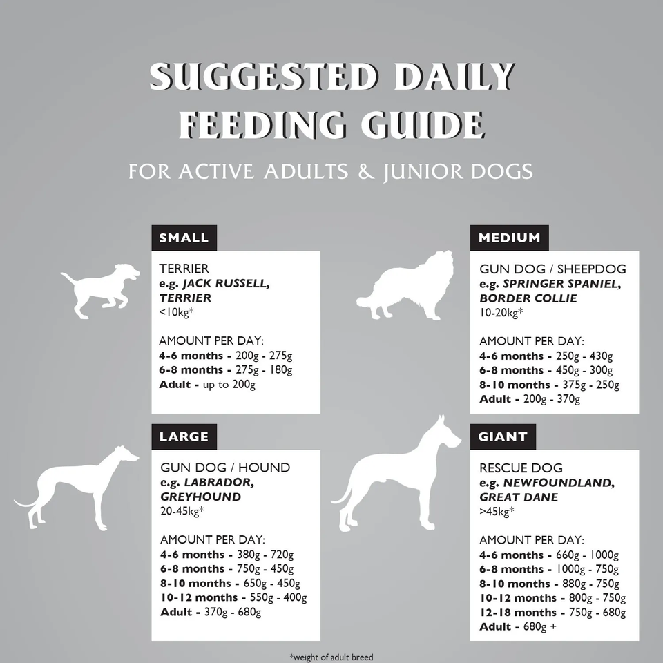 Dr John Titanium Dry Dog Food 2 x 15kg Chicken & Veg Active Working ...