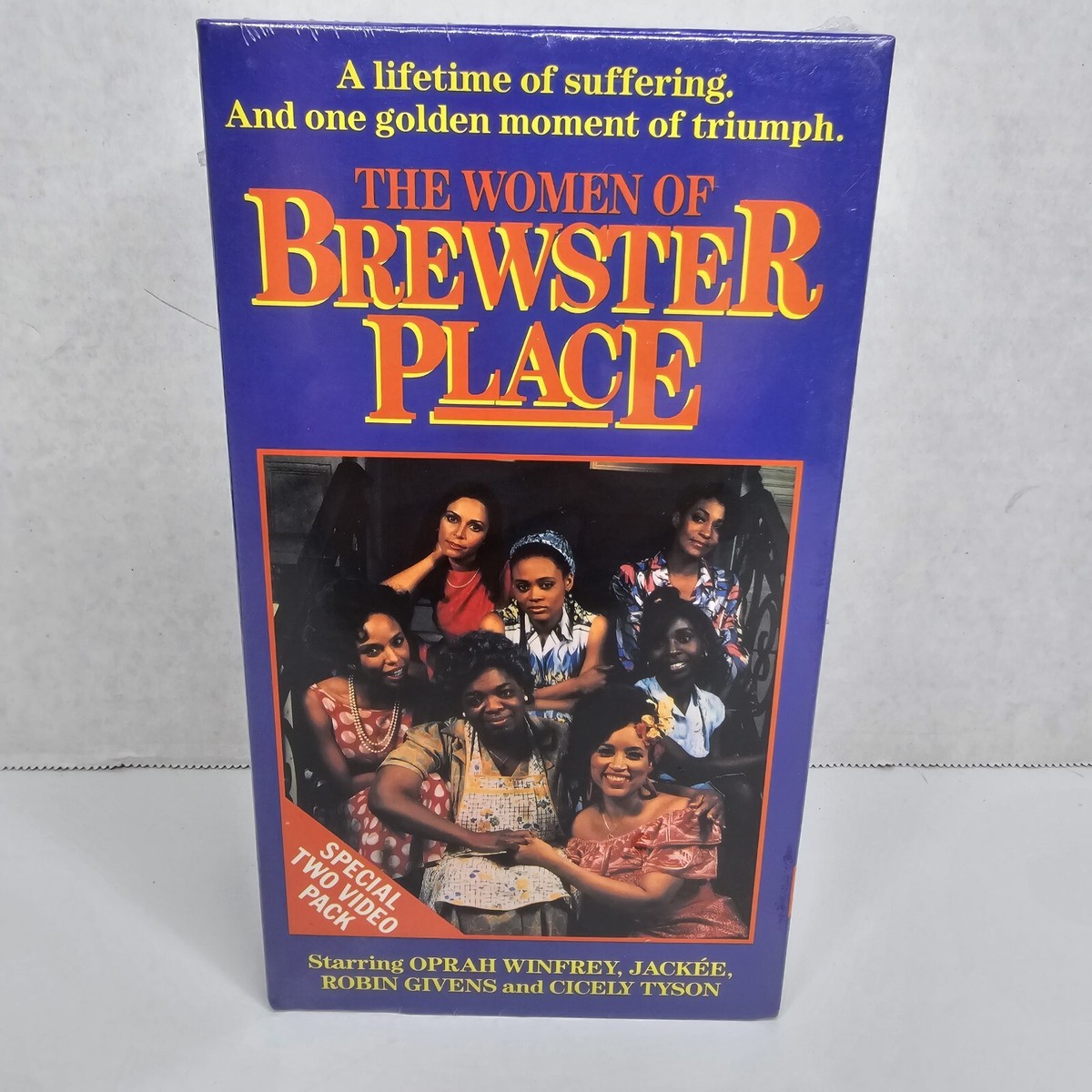 The Women Of Brewster Place The Women Of Brewster Place Summary