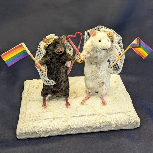 Wedding Couple Taxidermy Mice Cute Taxidermy of Betrothed Rodents Made ...