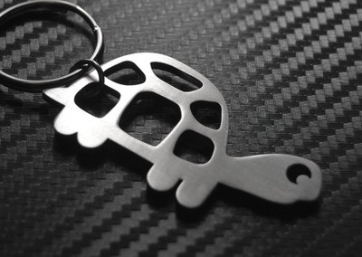 TORTOISE Reptile Pet Terrapin Turtle keyring Keychain key Fob key Gift ...