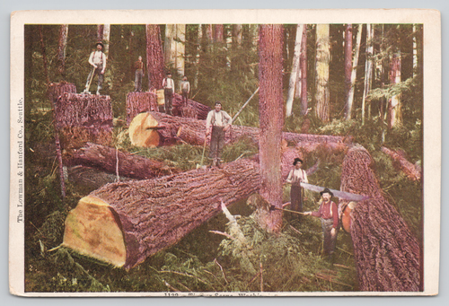 Postcard Timber Scene Washington Logging Men at Work - Lumberjacks | eBay