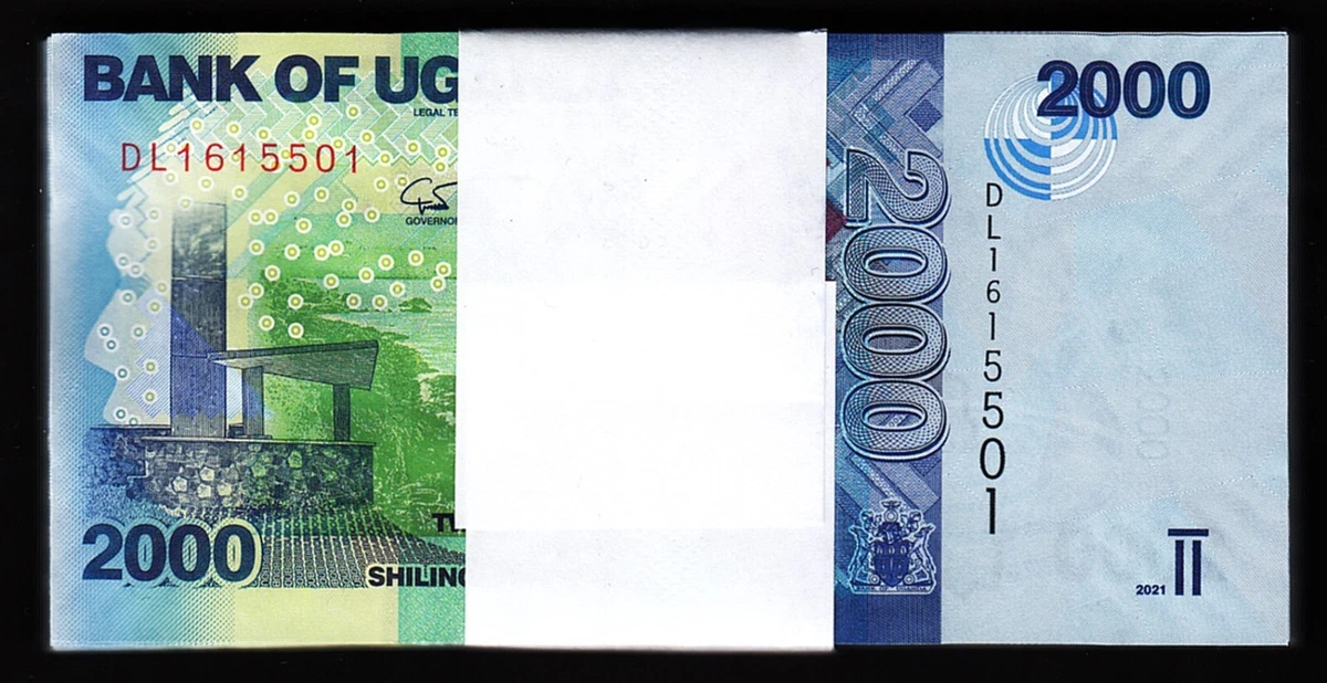2000 2022 Date