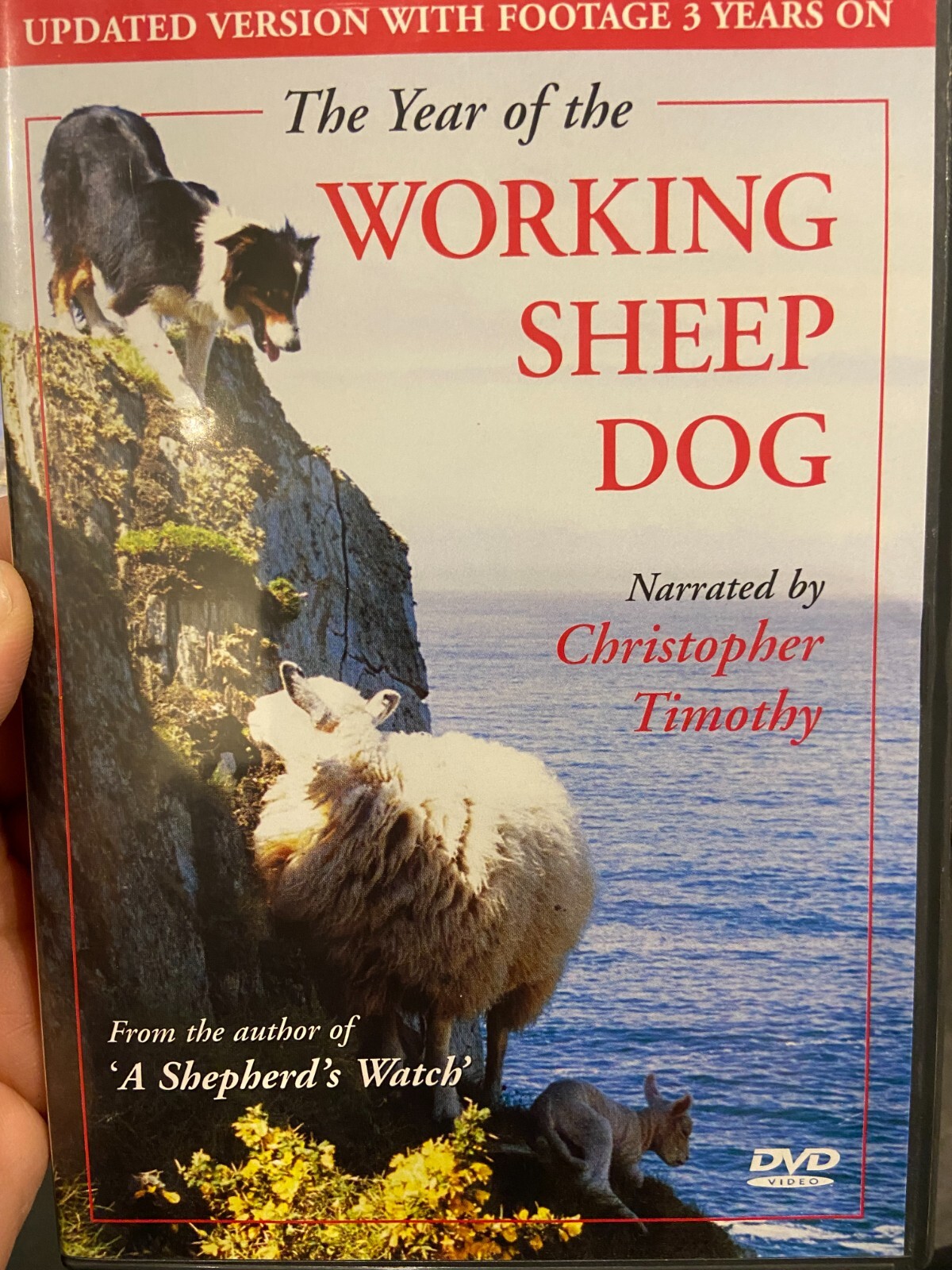 The Year Of The Working Sheep Dog region 2 DVD (sheepdog documentary ...