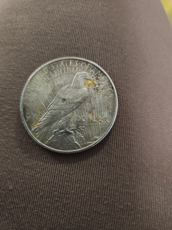 1923 LIBERTY PEACE DOLLAR COIN | eBay