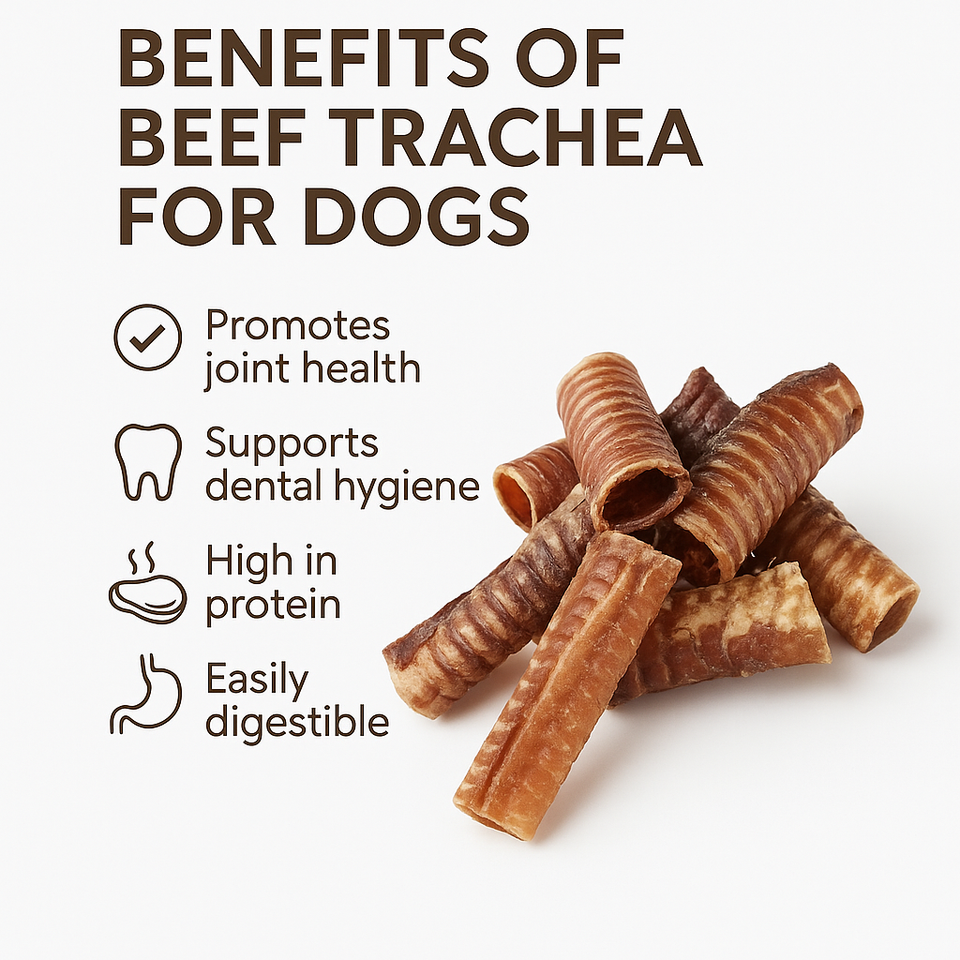 Beef Air Pipe Beef Trachea for Dogs Chews 100% Natural Air Dried Dog ...