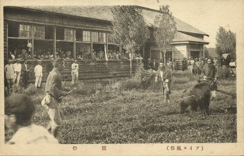 japan, HOKKAIDO, Native Ainu Aynu Aino, Iomante Bear Ceremony (1910s ...