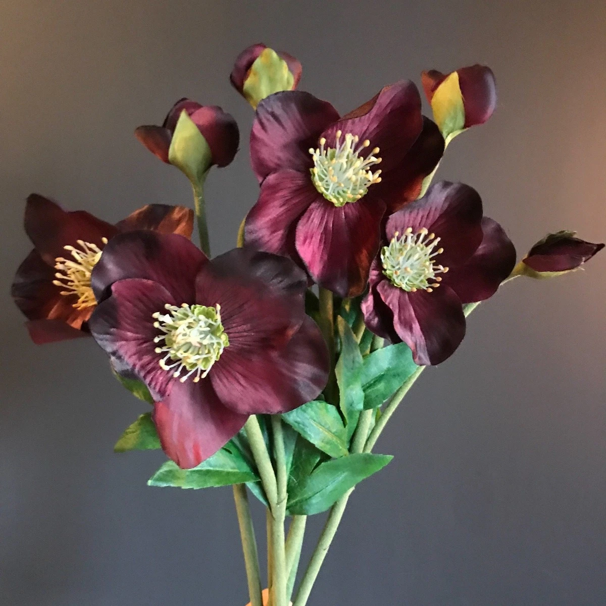 Hellebore Bouquet