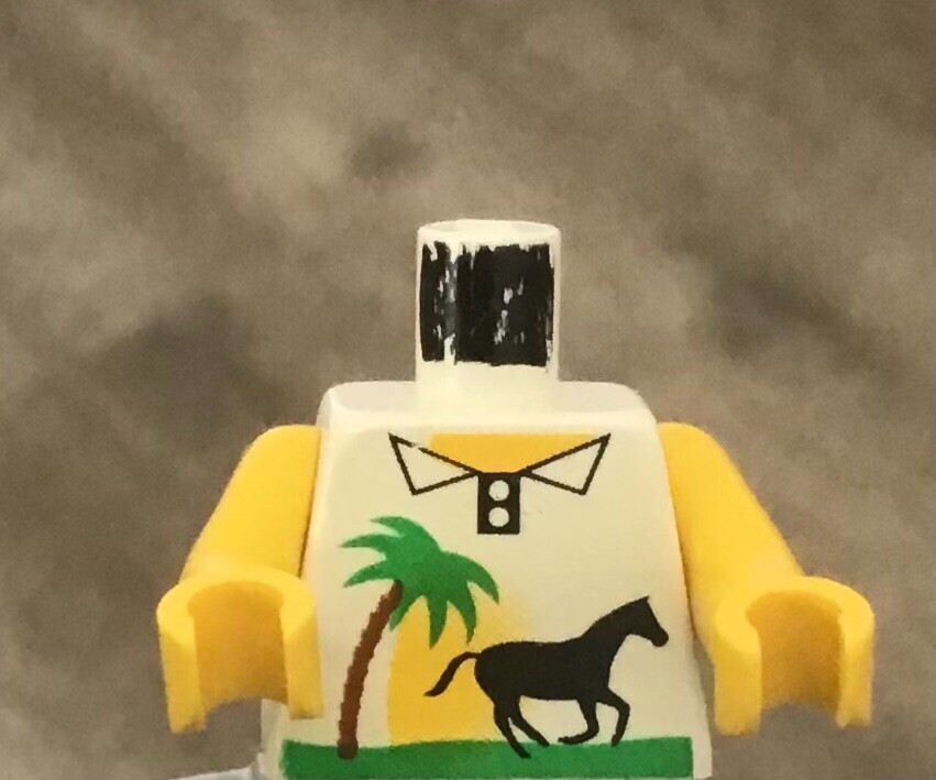 LEGO Paradisa Minifig Torso with Horse and Palm Tree | eBay