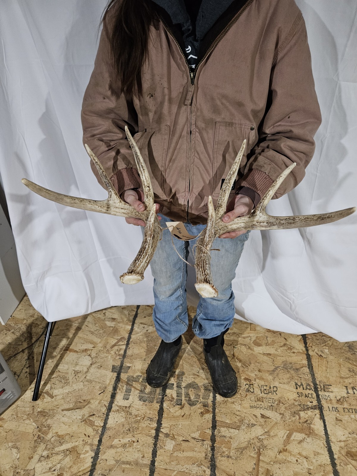 Wild 8 Point Whitetail Deer Antler Rack Horn Shed Set 119" Man Cave ...