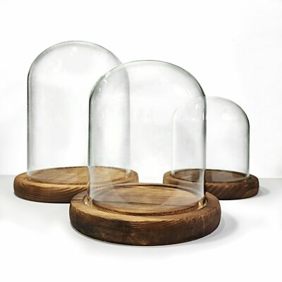 Glass Display Dome, Glass and Wood Cloche, Oddities Display Case | eBay