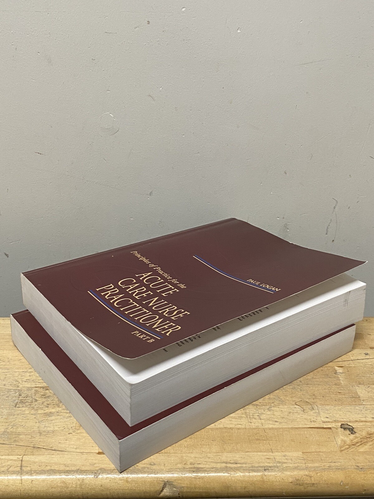 Principles of Practice for the Acute Care Nurse Practitioner by Paul ...